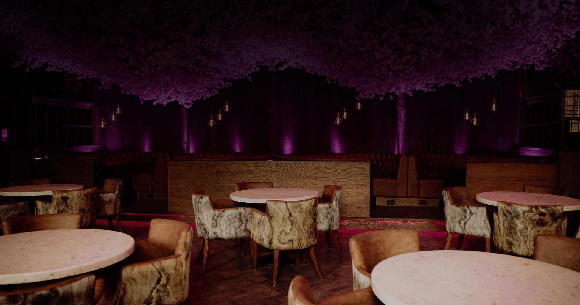 Akshaya - The Picture Drome